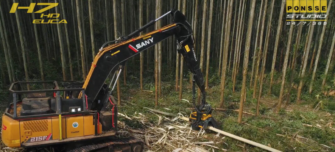 Eucalyptus Debarking Control From Start to Finish With the New Ponsse ...